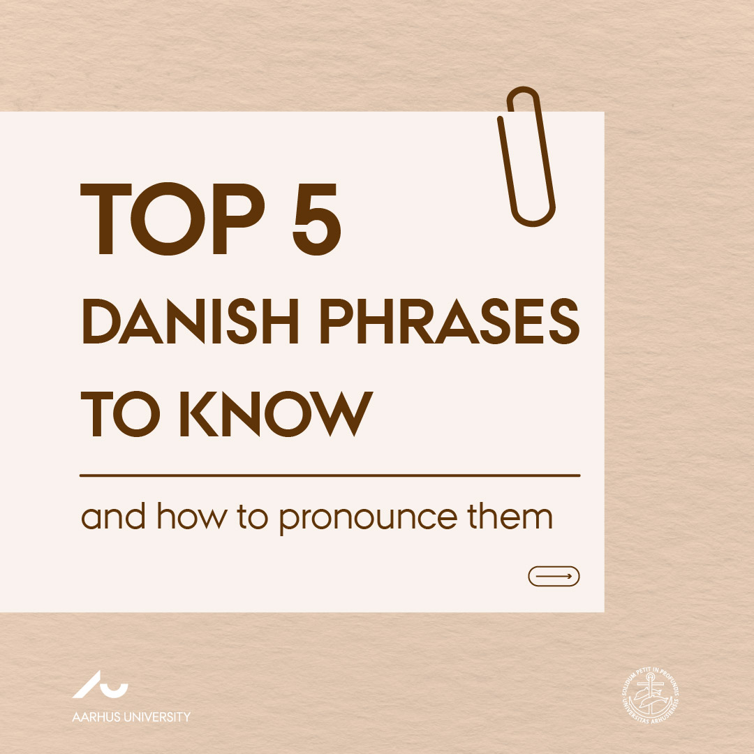 5 Commonly Used Danish Phrases to Know to Sound like a Local